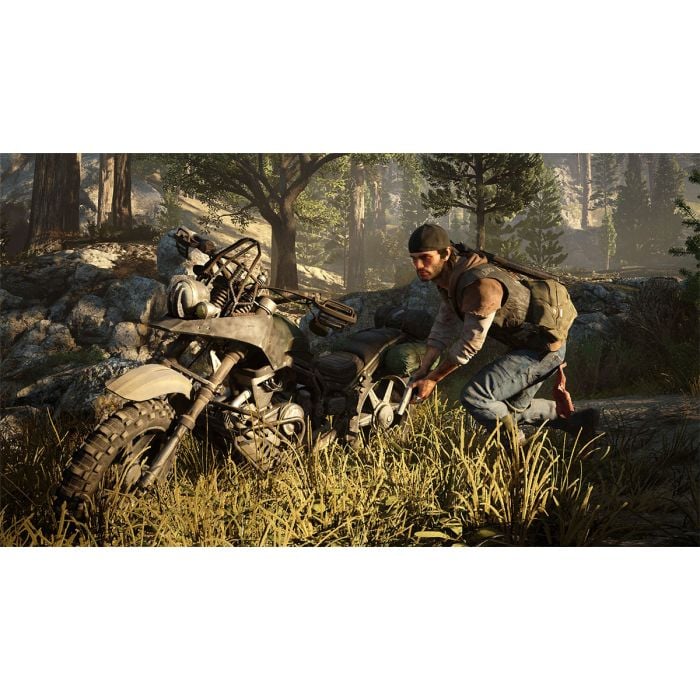 Days gone ps4 buy online store